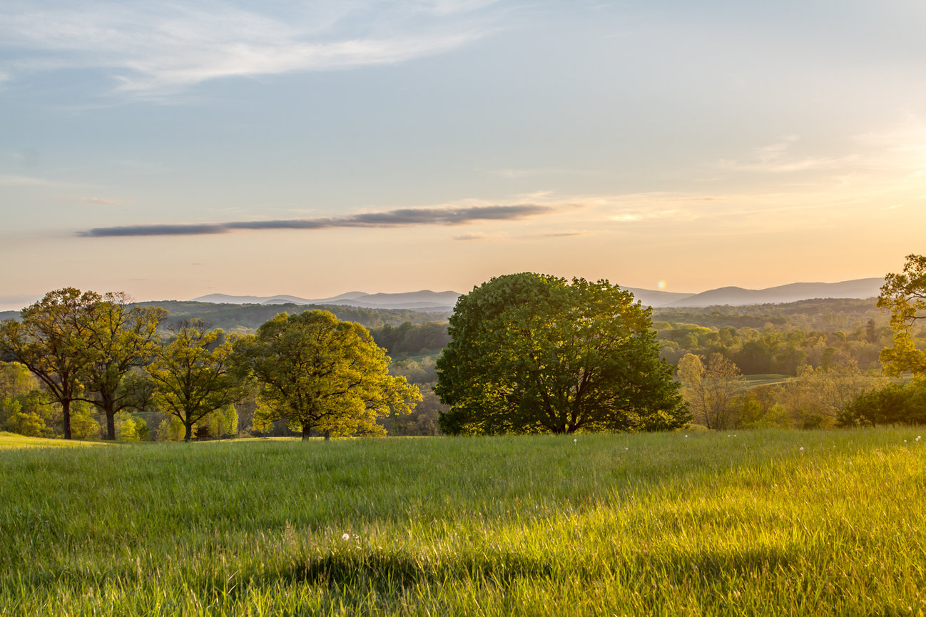 Home - Camden Littleton Photography