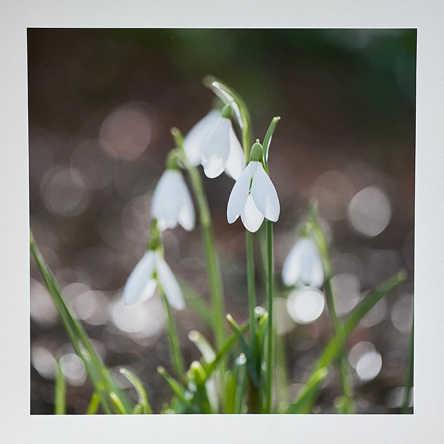 FRAMED PRINTS | Susan Phelps Photography | Wokingham