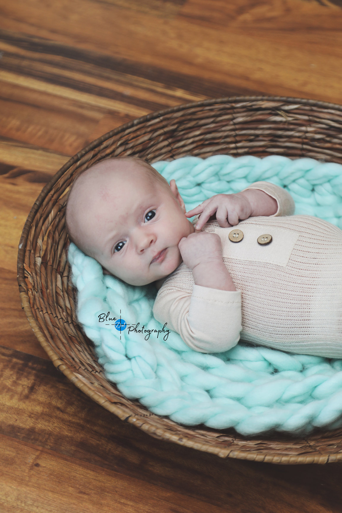Sneak peek of The Begner Family Newborn Portraits! - Blue Dot Photography
