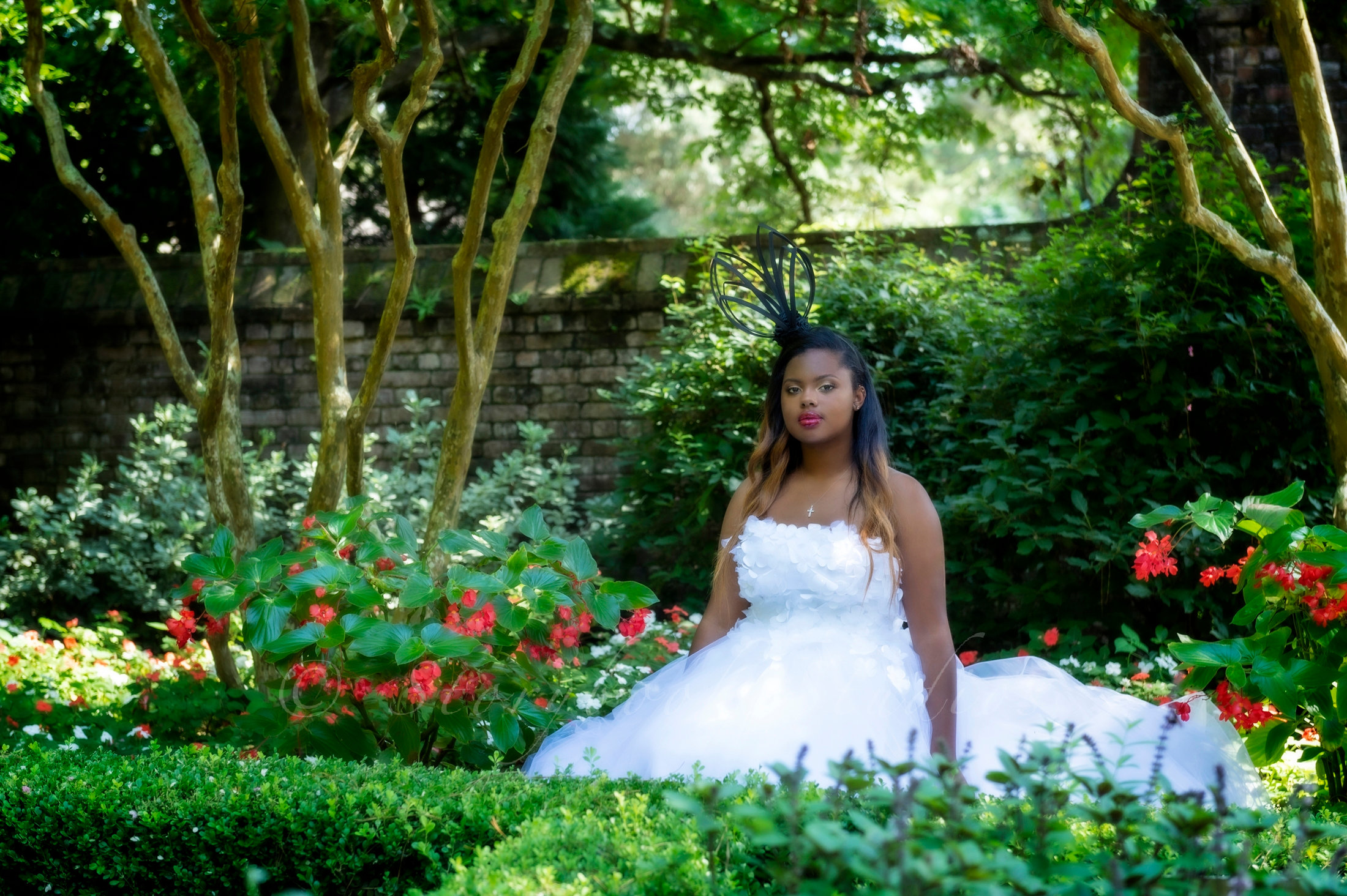 Modern Day Elizabethan Queen - Storybook Studios