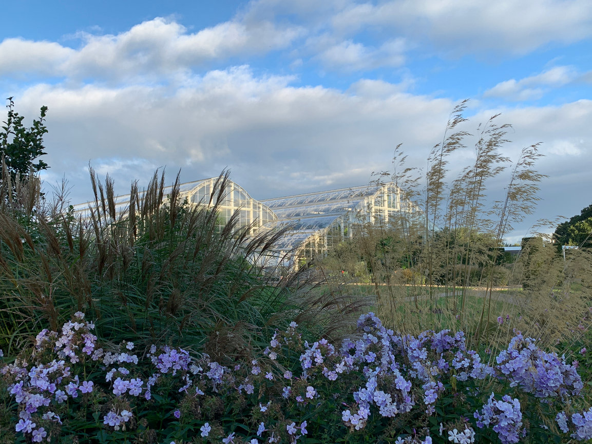 BLOG | Susan Phelps Photography | Wokingham