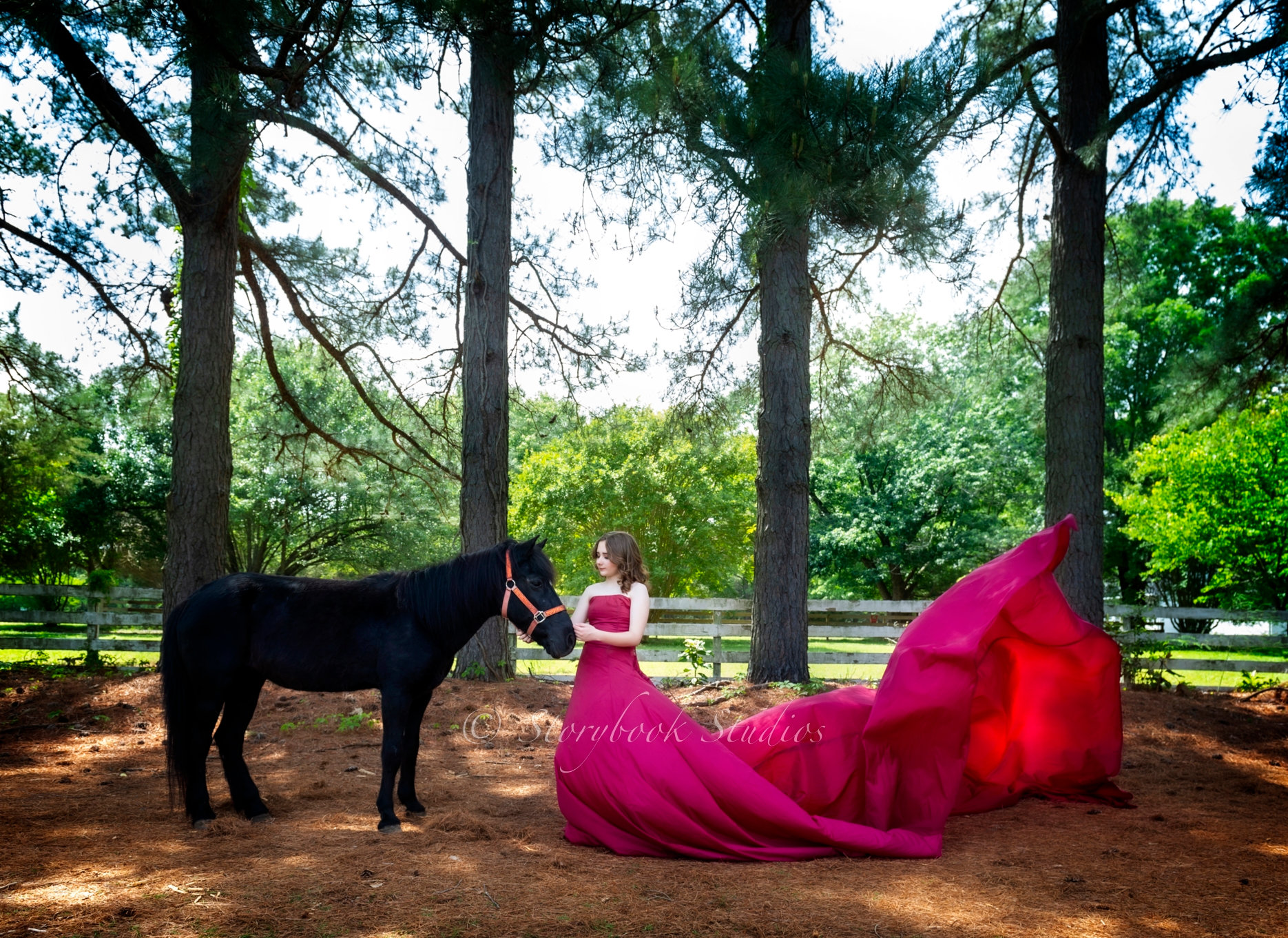 Fearless Spirit Gallery - Storybook Studios