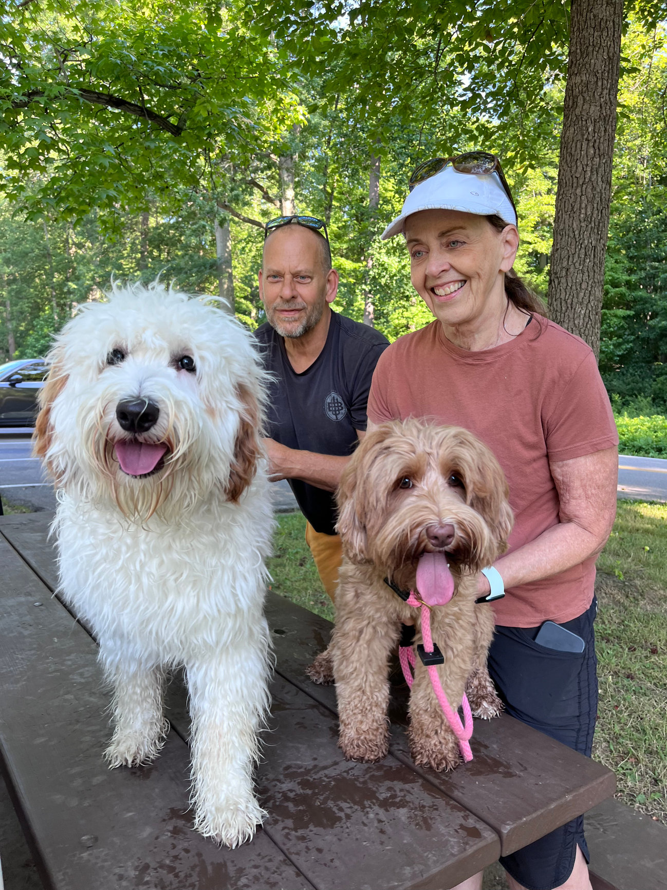 Heritage Manor Labradoodles | Ohio Australian Labradoodle Breeder