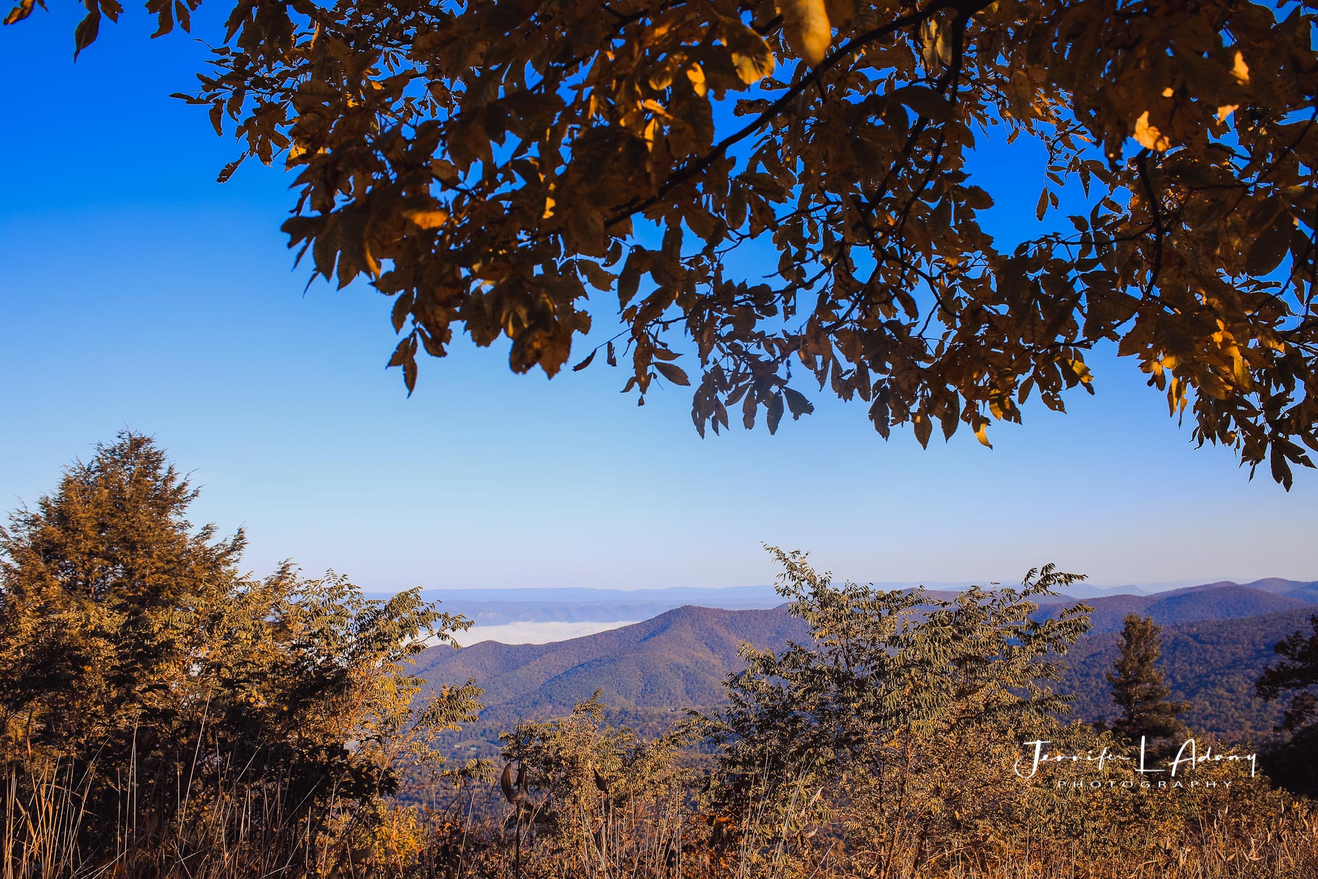 PORTFOLIO - Jennifer L Adamy Photography