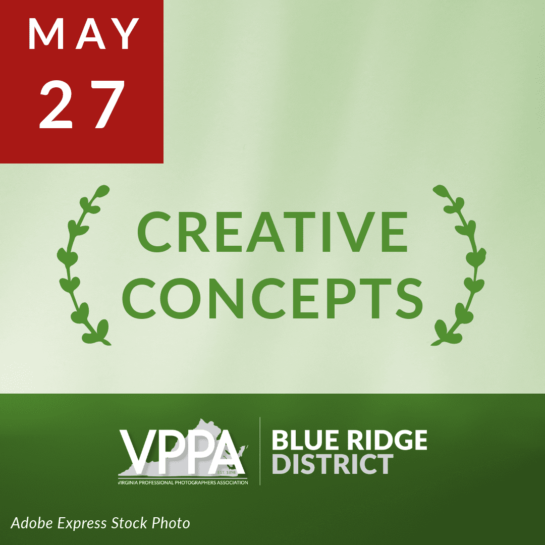 Virginia Professional Photographer's Association (VPPA)