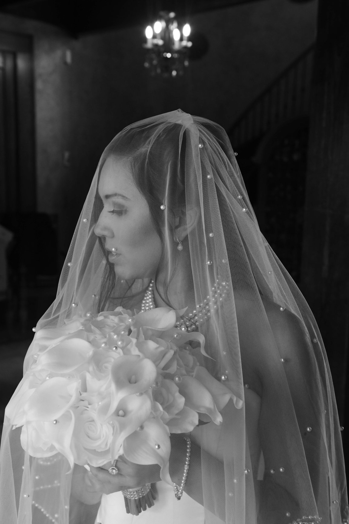 Mike Gibson Photography