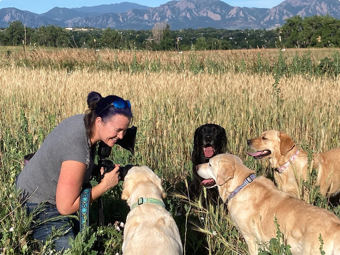 Why Hire A Professional Pet Photographer? - Furever Photography