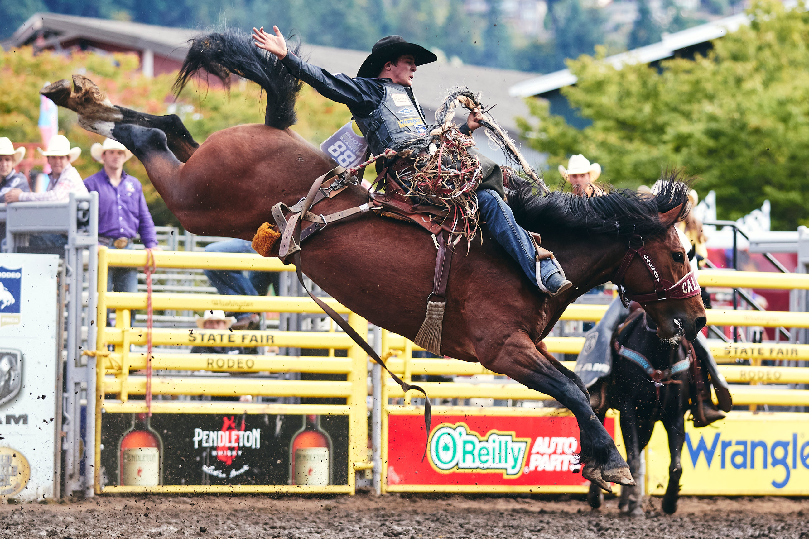 Billie-Jean Duff | Rodeo Photography