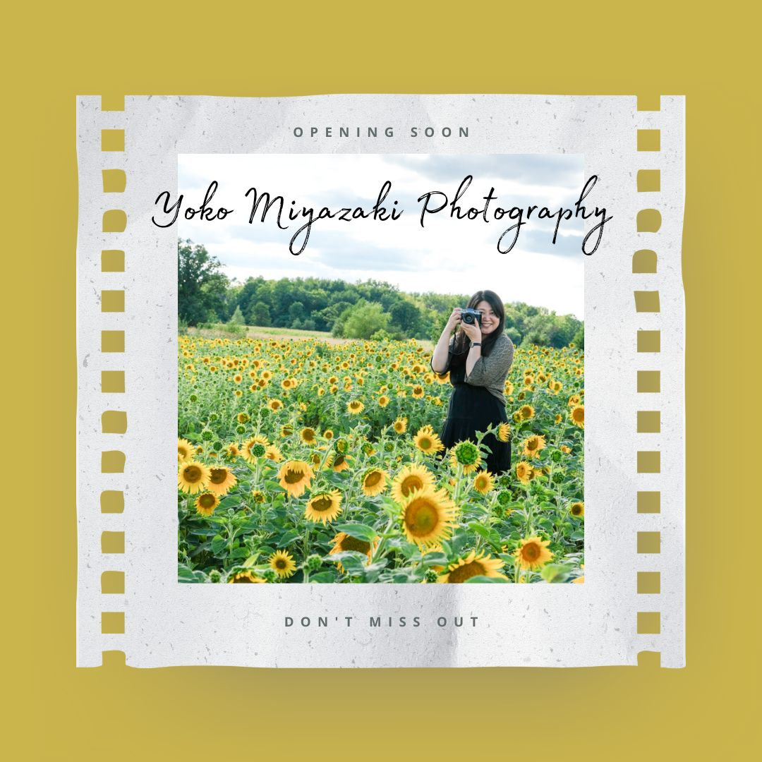 Hi Everyone - Yoko Miyazaki Photography