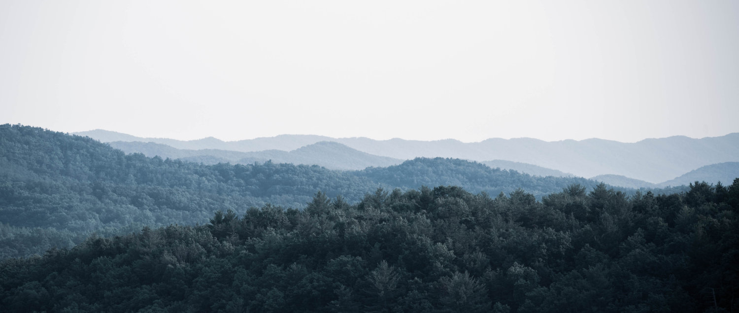 LANDSCAPE - Nathan Moseley