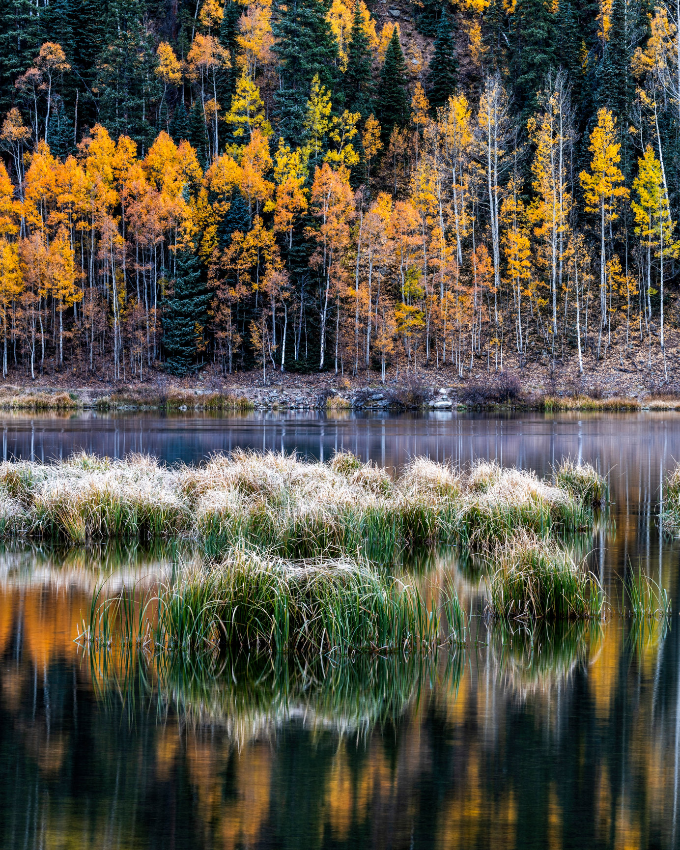 Colorado in the Fall - Nature Exposed Tours