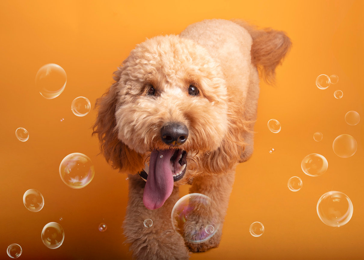 Bubble Mini Sessions - Reflections by Rhiannon