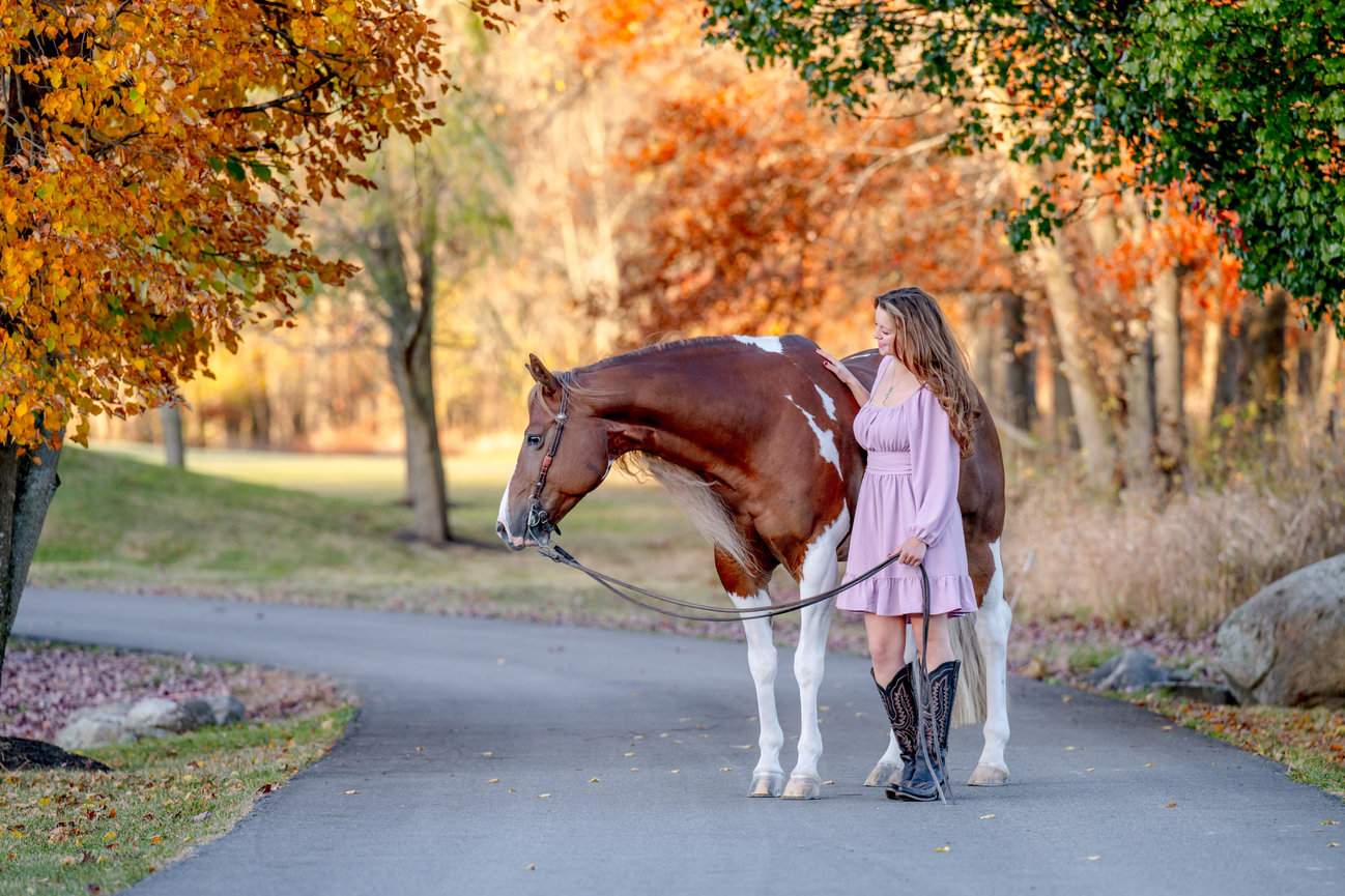 Contact a Horse Photographer in Butler & Pittsburgh - Equine