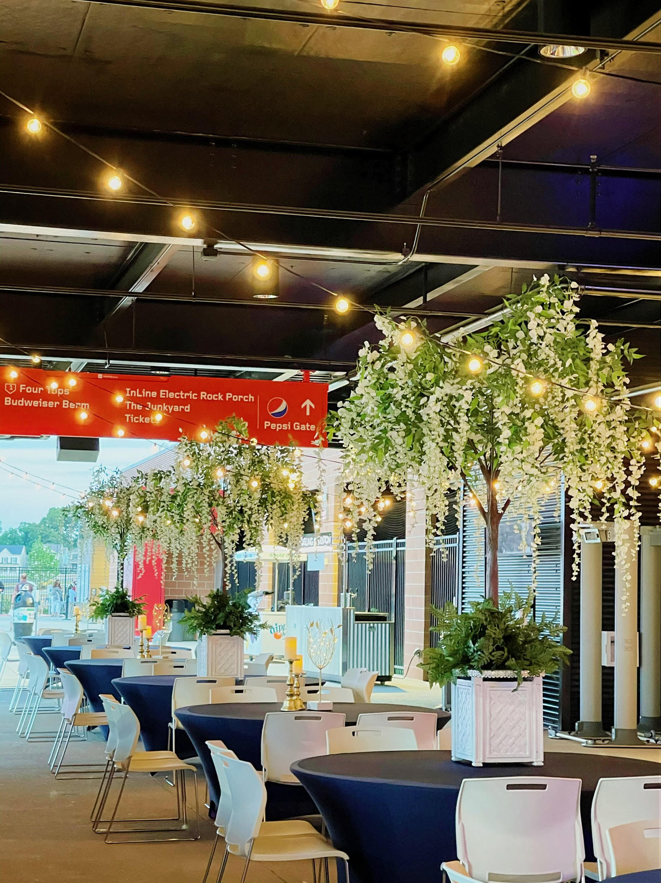 Toyota Field with Metropolitan Disc Jockey at Trash Pandas Stadium ...