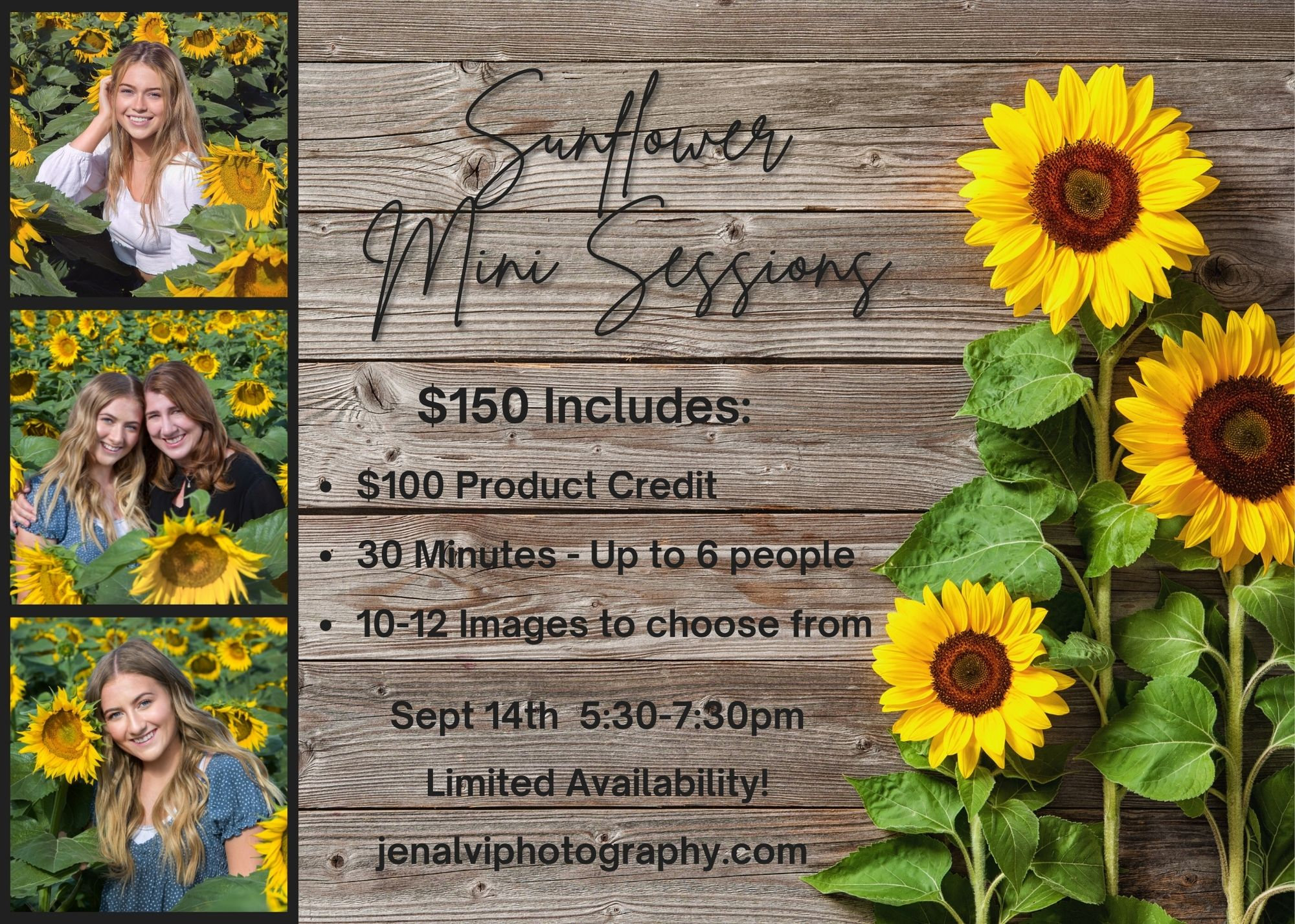 Sunflower Field Mini Sessions - Jen Alvi