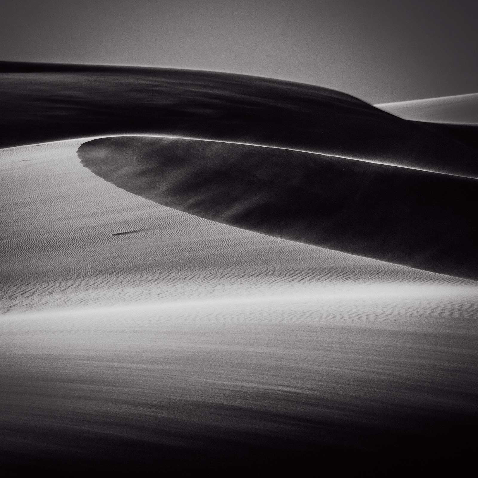 Sand Tracks - Rob Strain