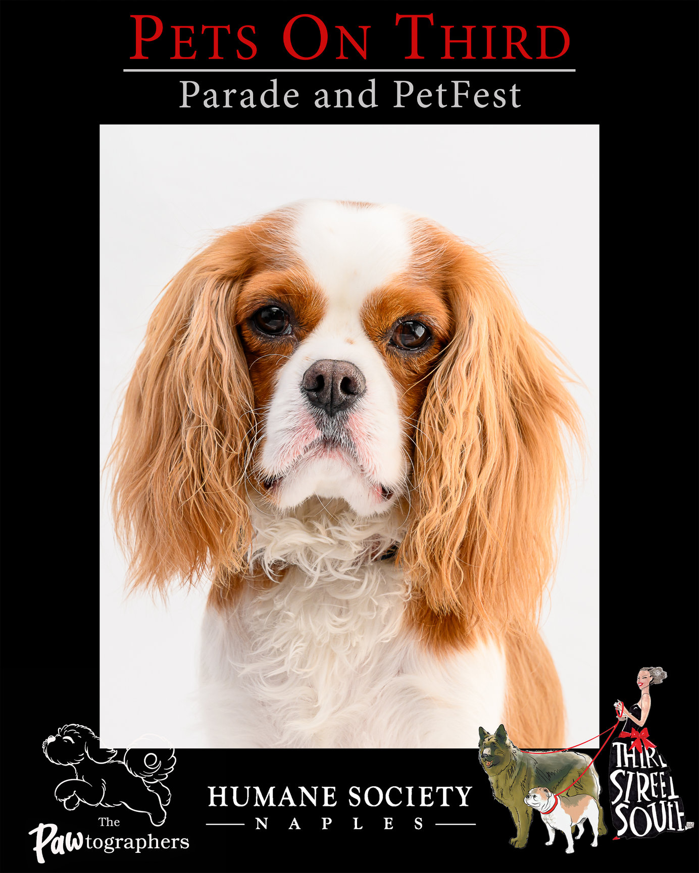 Pets on Third Parade 2024: Naples Dog Photo Fundraiser for Humane Society