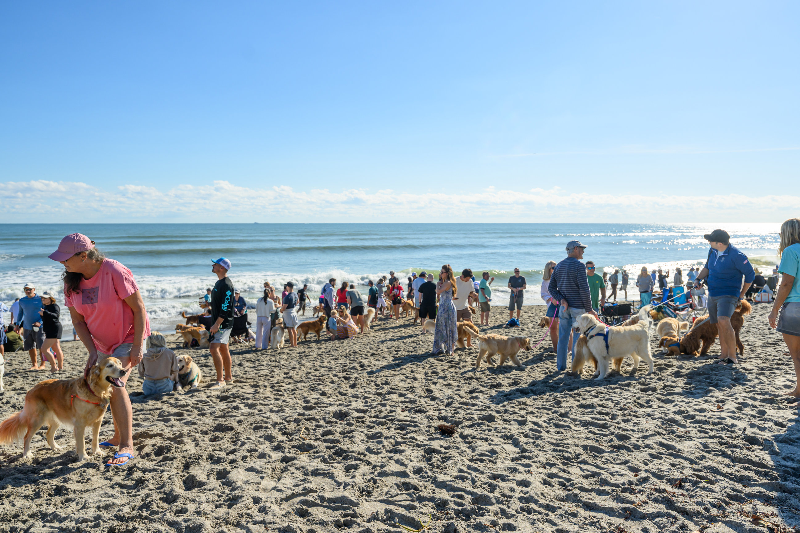 Jupiter Golden Jubilee 2025 – Golden Retrievers, Beach Fun & Joy
