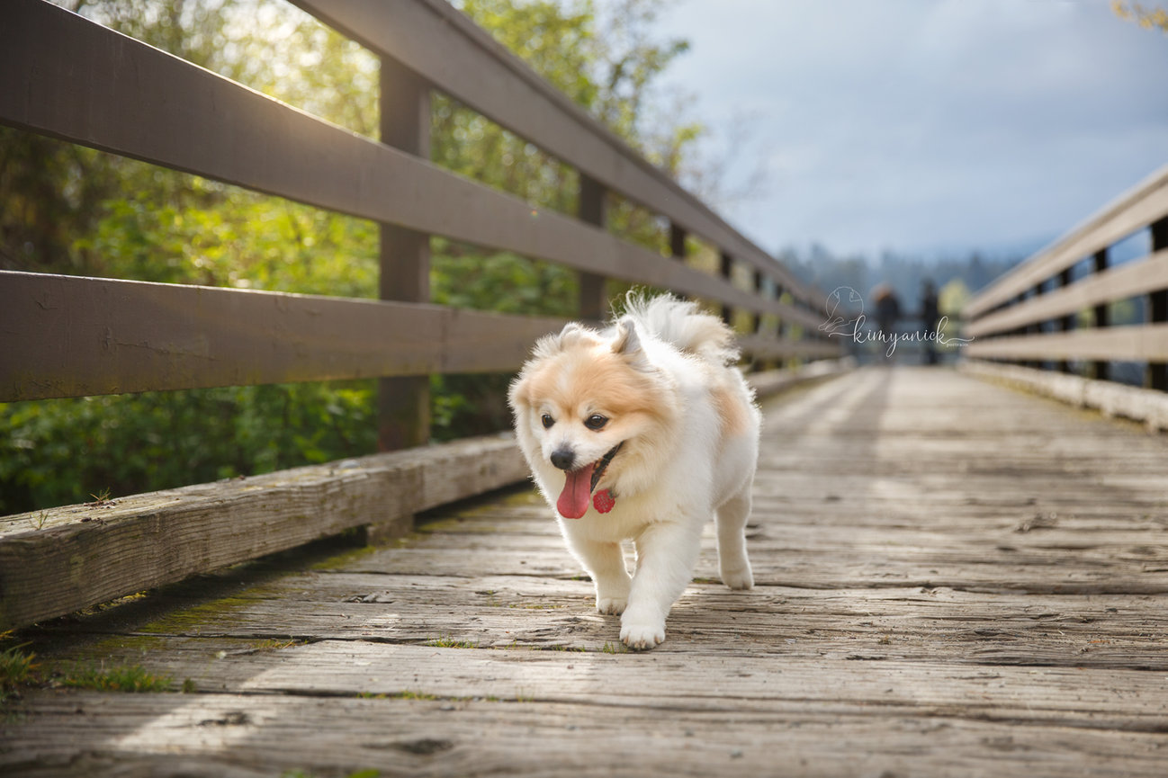 blog - Kim Yanick Portraits