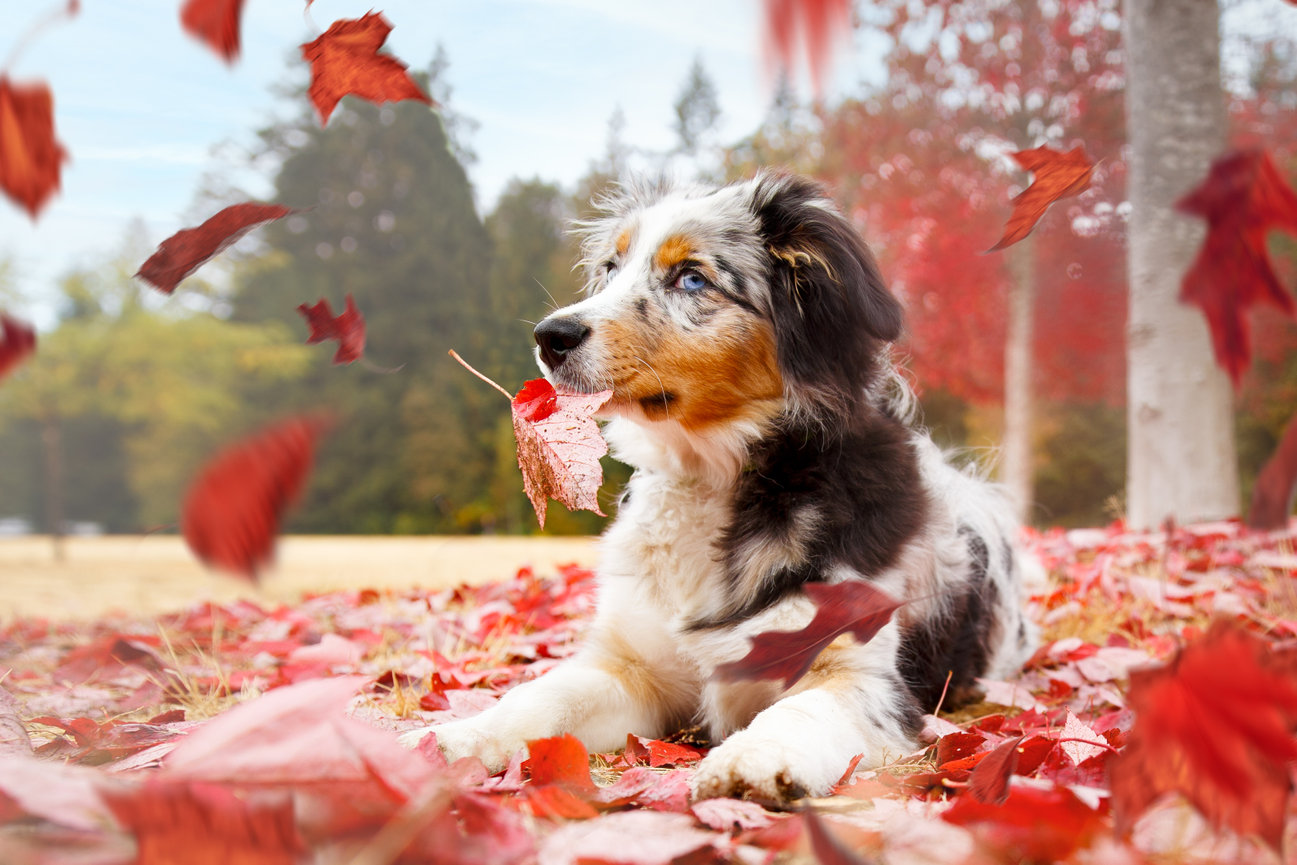 blog - Kim Yanick Portraits