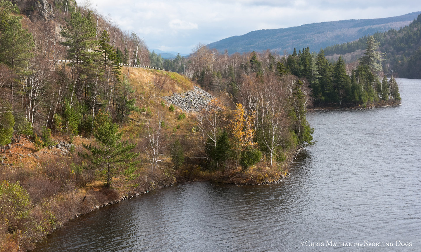Wild Places - Chris Mathan Sporting Dog & Outdoor Images