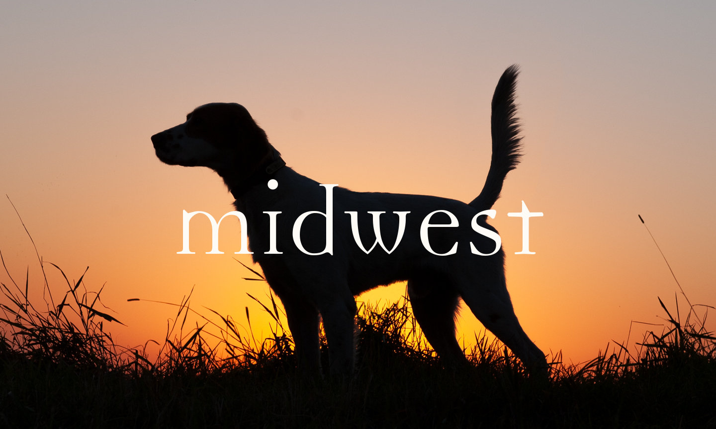 Midwest - Chris Mathan Sporting Dogs