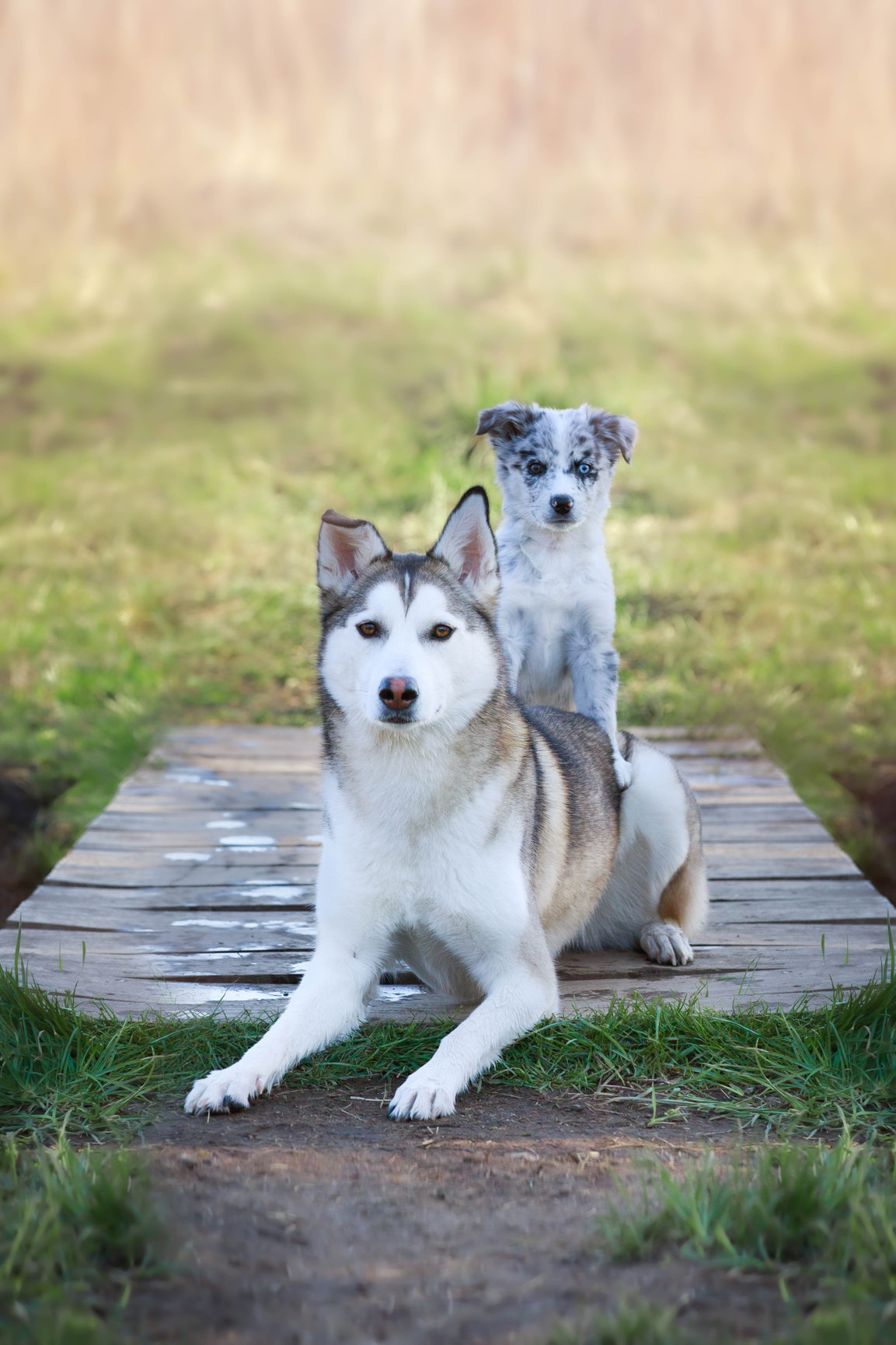 Kim Yanick Portraits