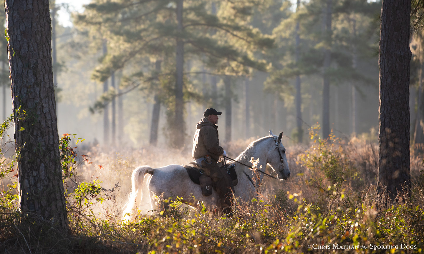 Field Trials - Chris Mathan Sporting Dogs