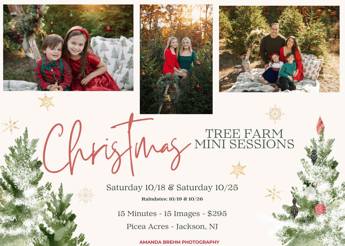 Tree Farm Minis - Amanda Brehm Photography