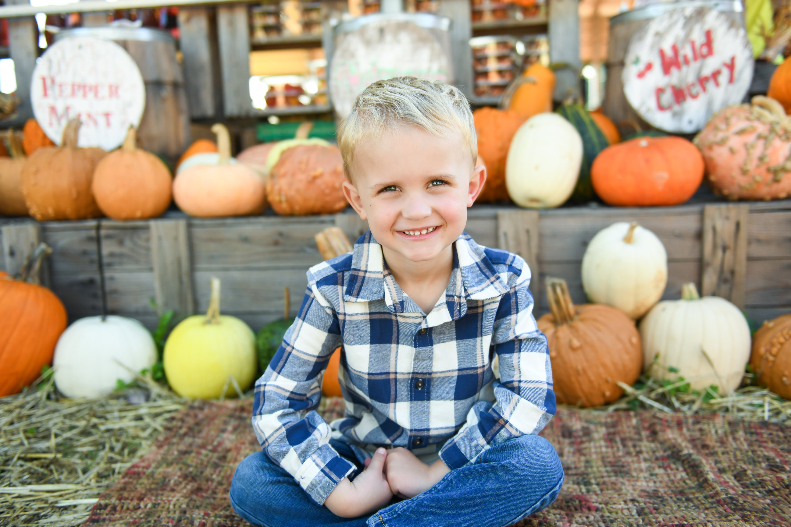 Pumpkin Patch Mini Session with Returning Family