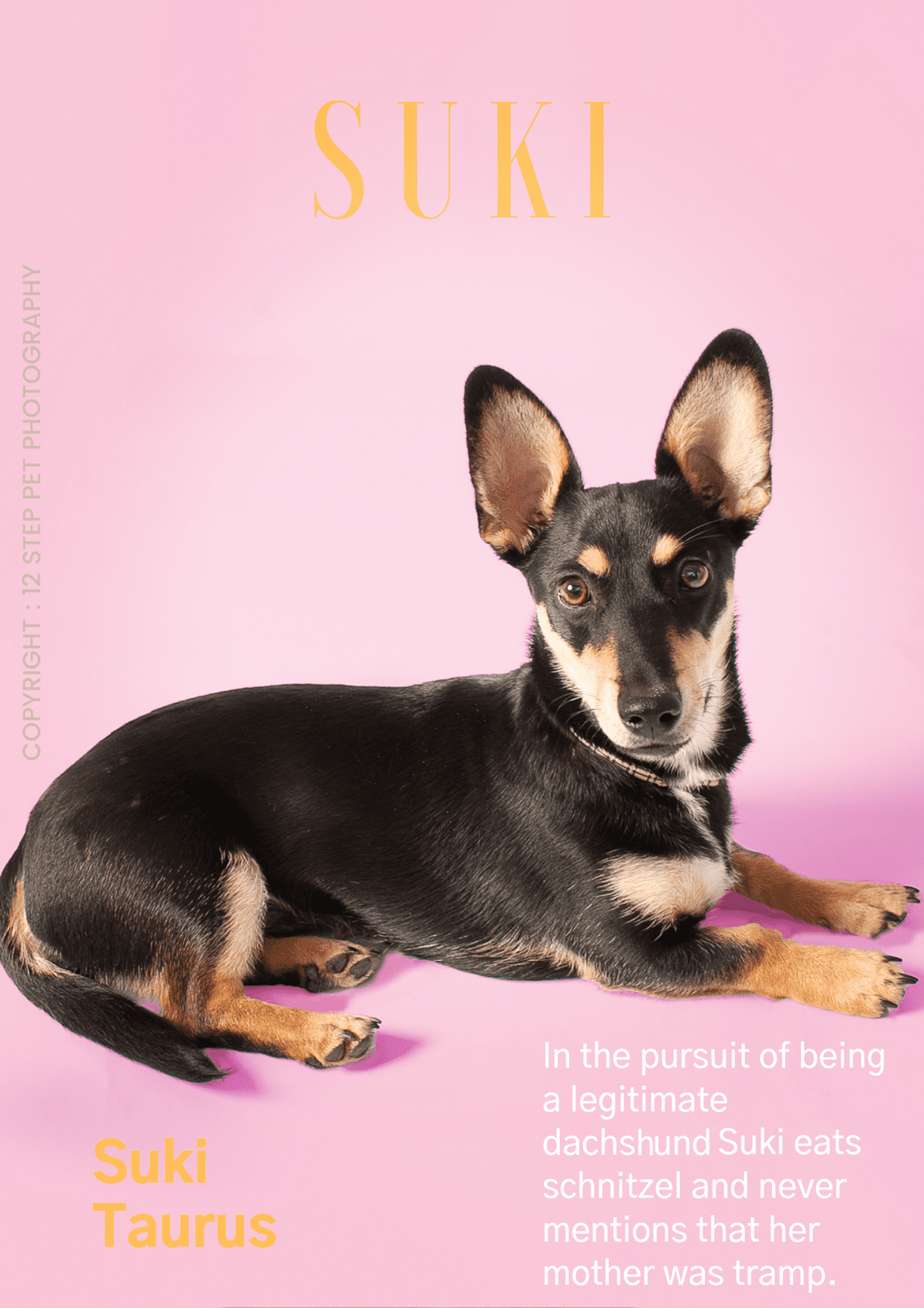 Taurus -Suki - Card - Lighthouse Studio - Adelaide Photographer