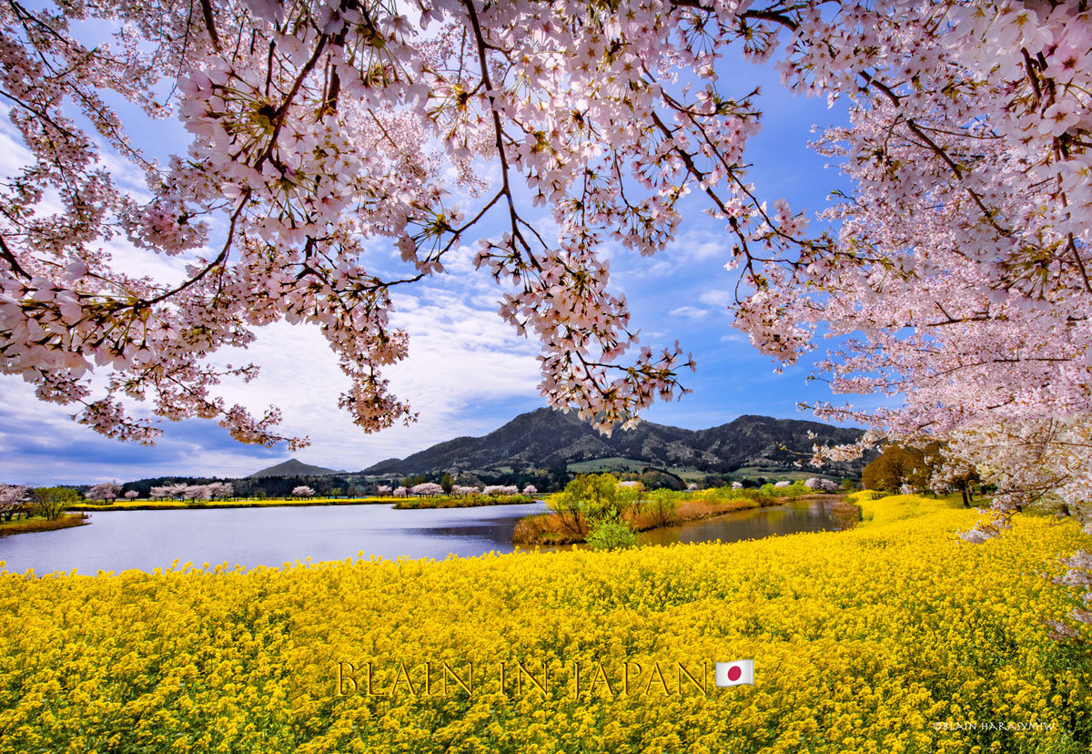 Japan Photo Tours | Blain Harasymiw Photography