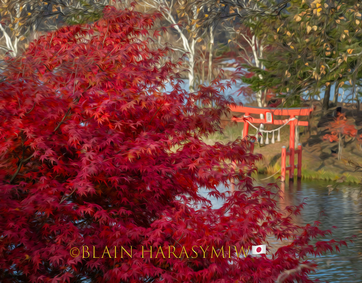 Oct. 2024- Essence of Autumn - Japan Photo Tour - Blain Harasymiw ...