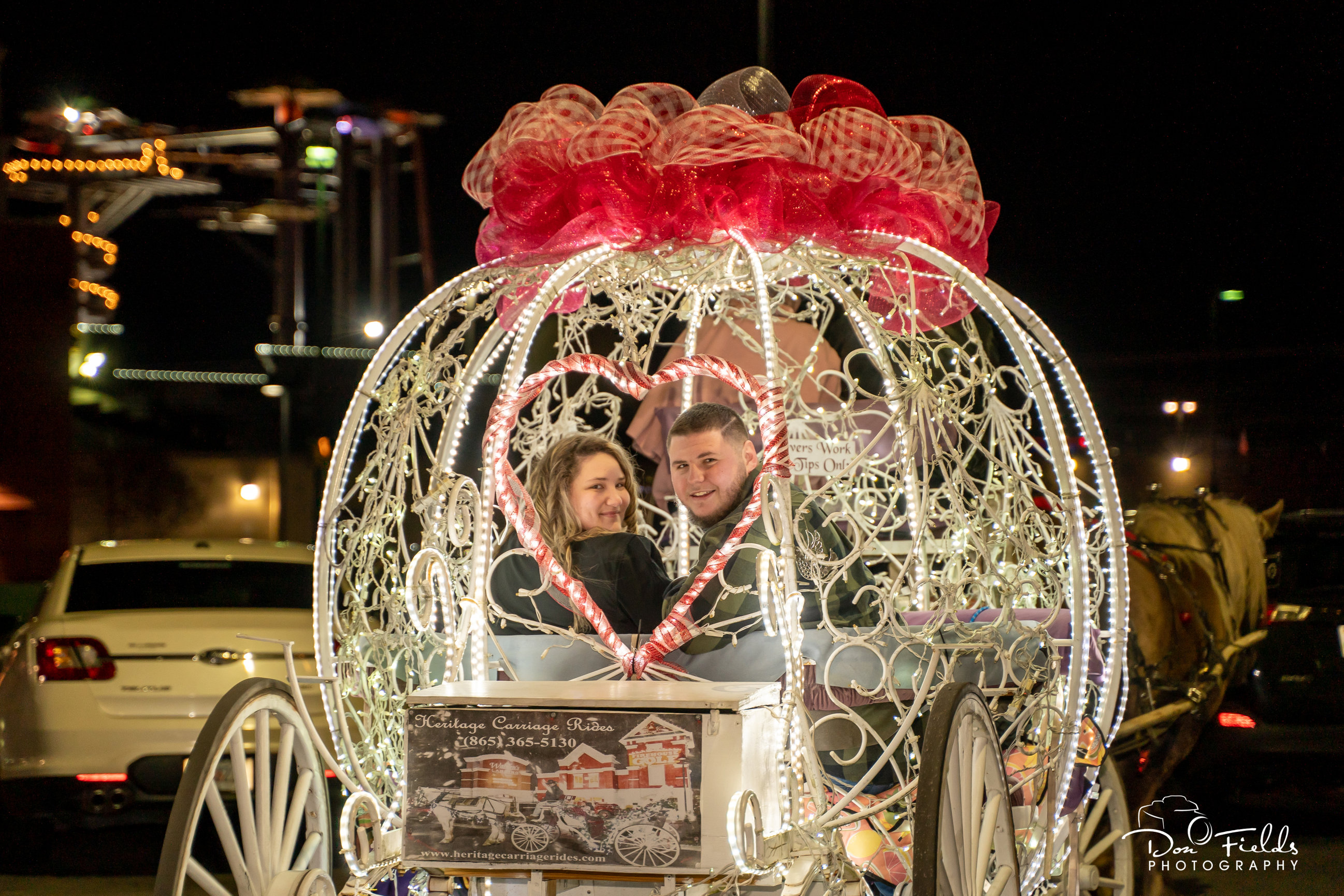 Carriage Proposal - Don Fields Photography