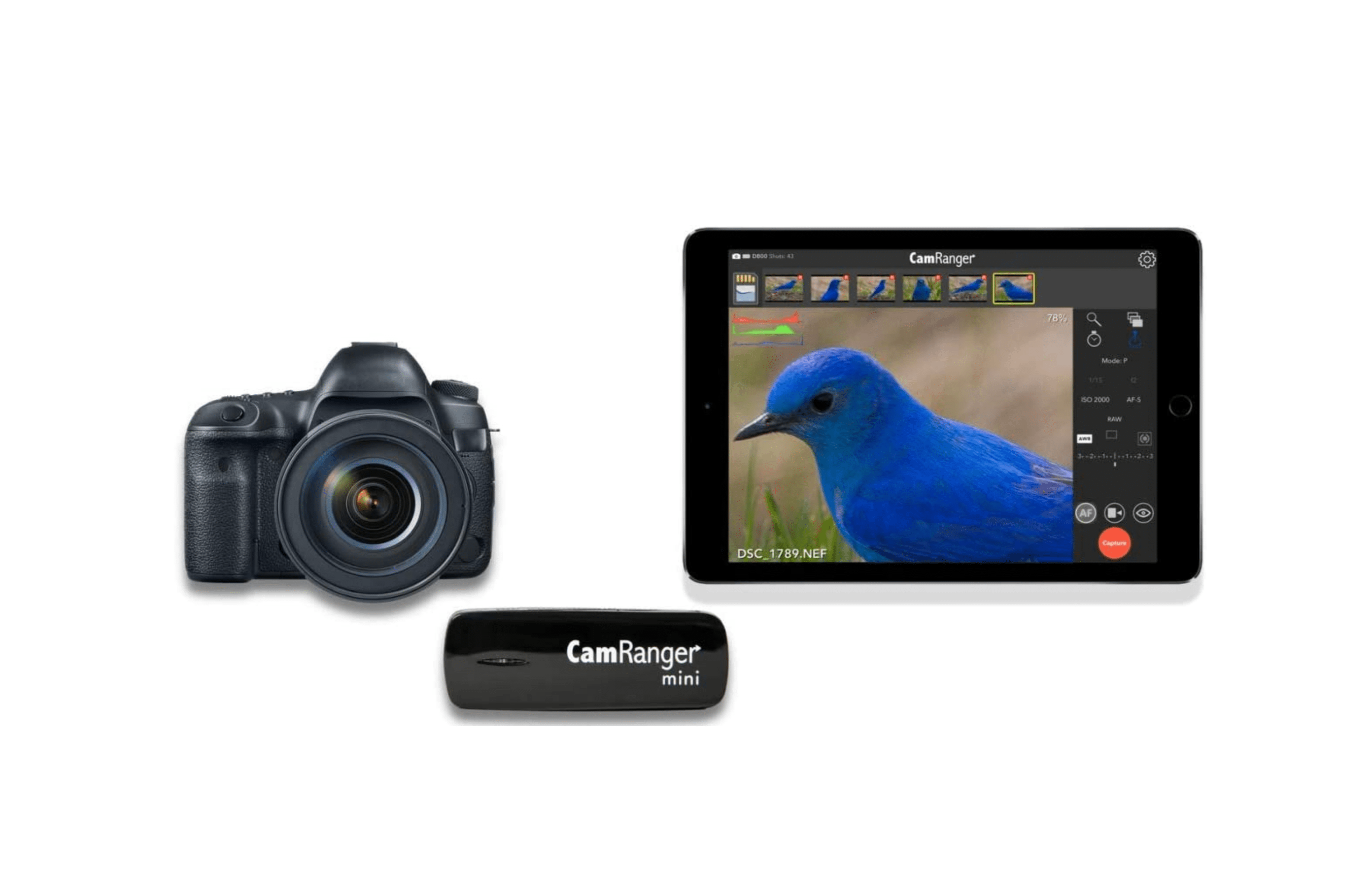 What is Tethering and Why Should You Do It? - The Grove