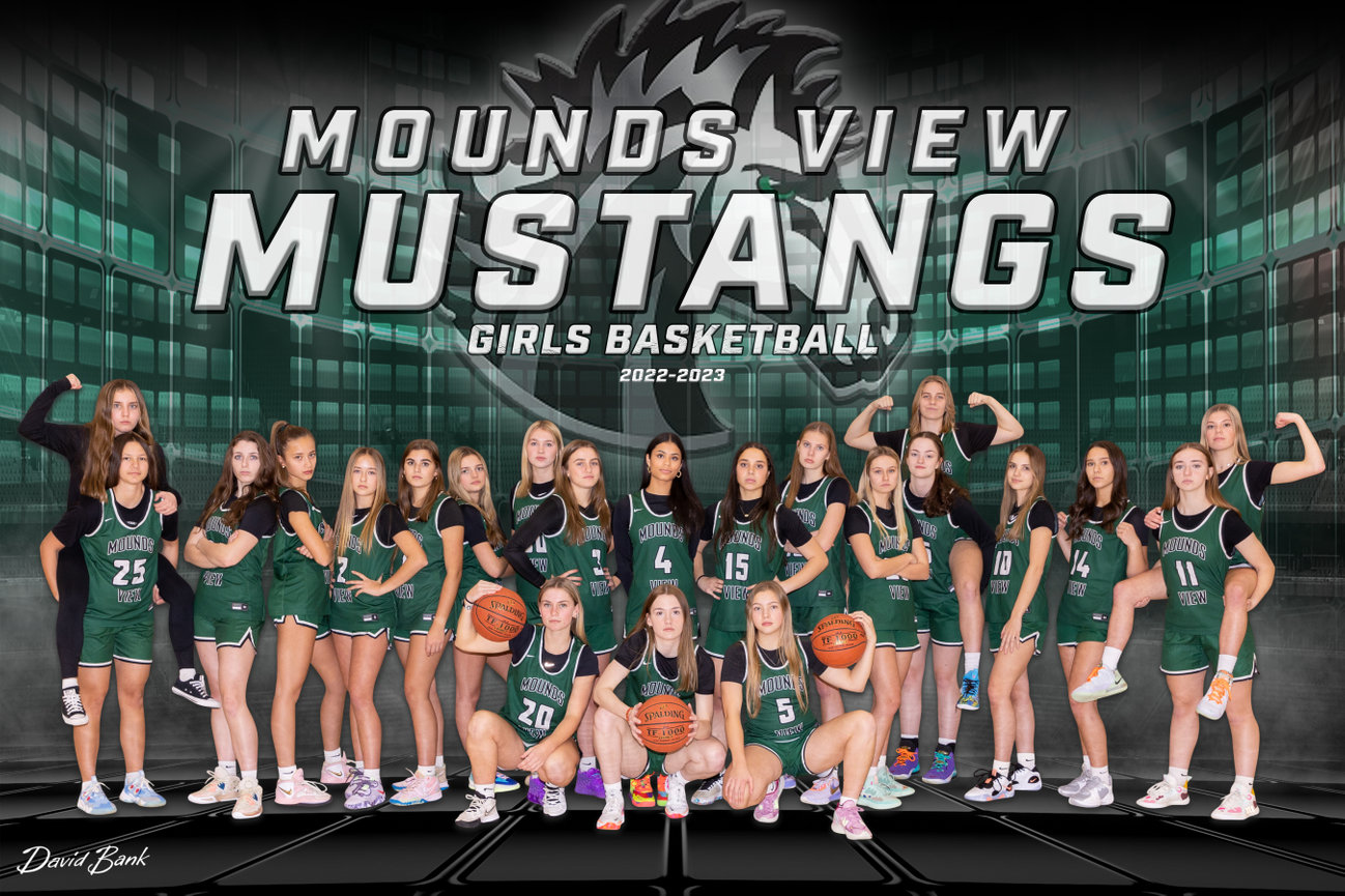 VINYL BANNERS/POSTERS - David Bank Studios