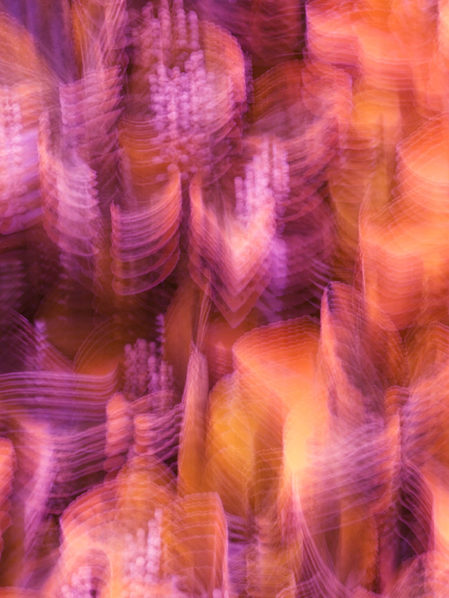 Print Features - Hanna Gelwix - Fine Art Photography