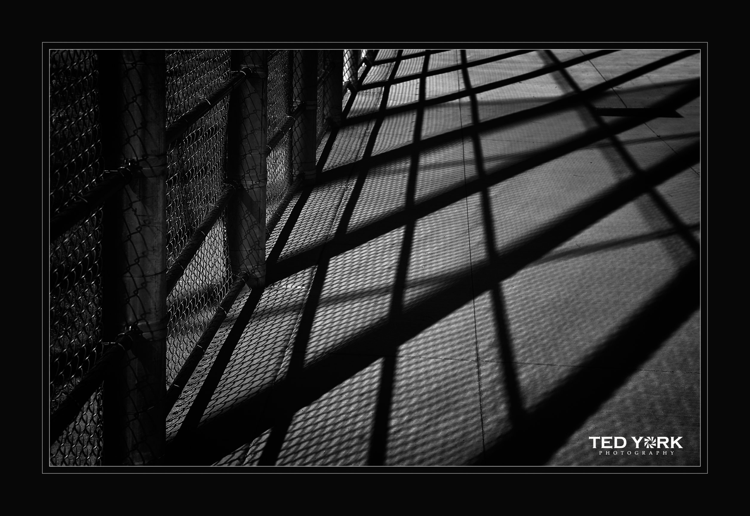 Learning To See - Ted York Photography