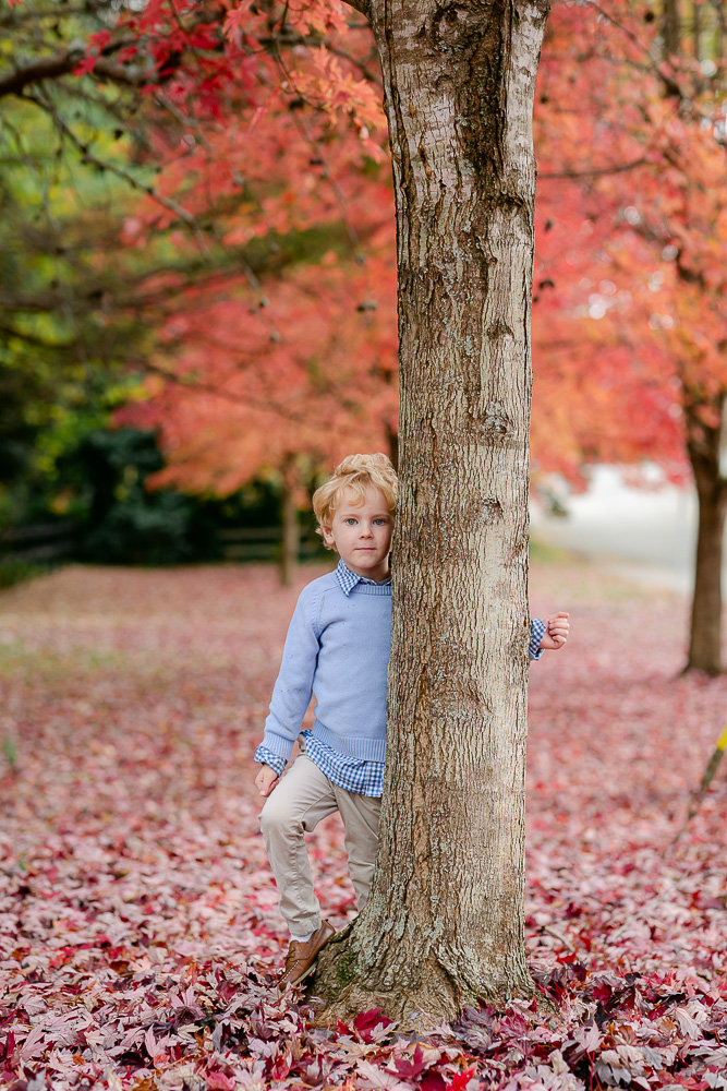 The pink tree forest... - Christy Hollywood is a Newborn Baby and Child ...