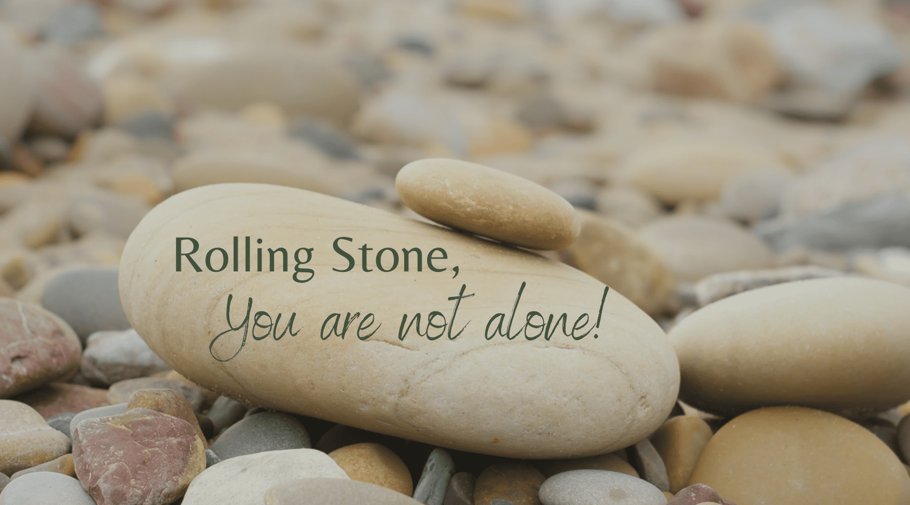 Rolling Stone, You are Not Alone! - Lisa Daugherty