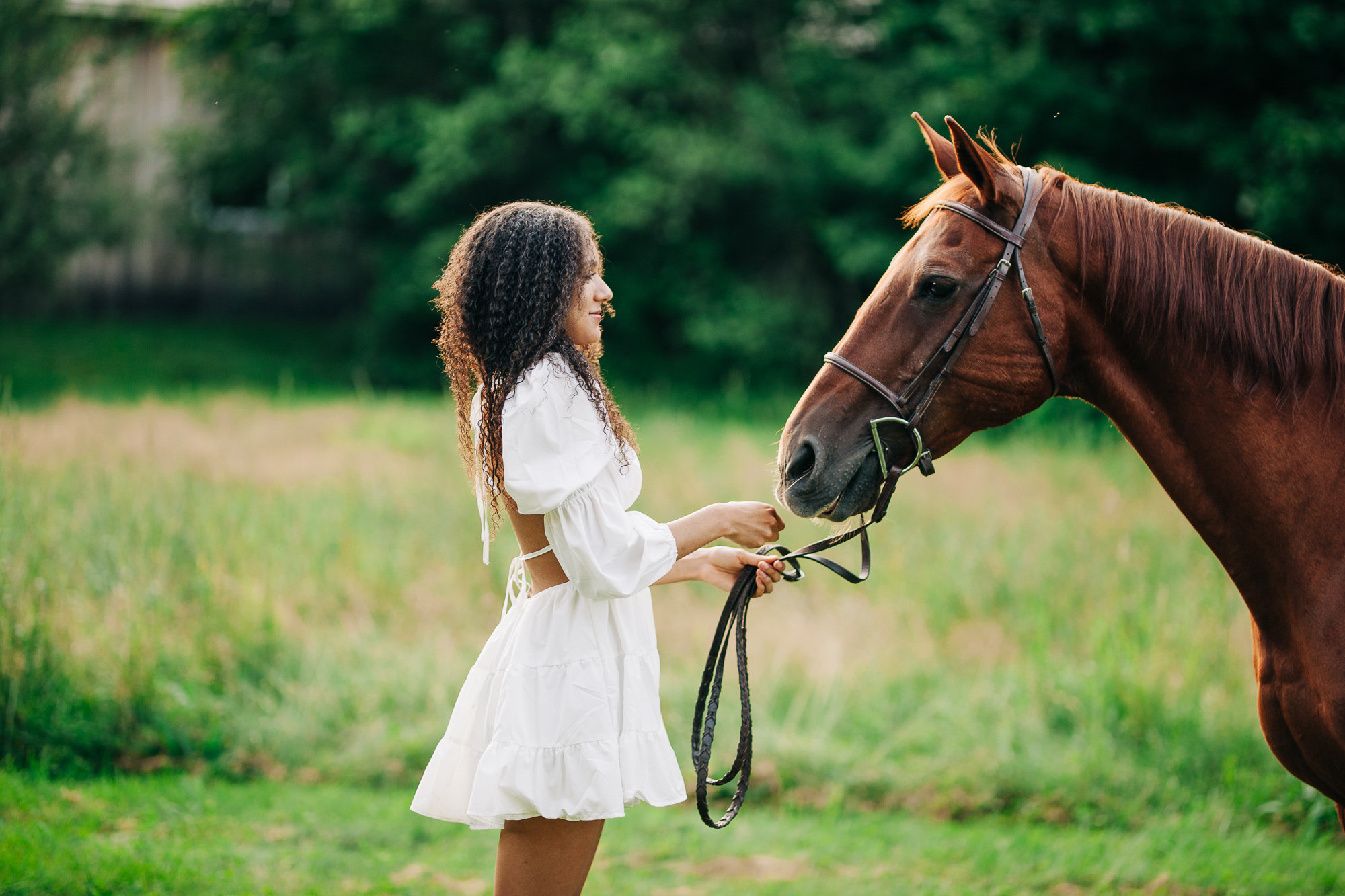 Lucia's Senior Photos at Dog Day Farm Pownal