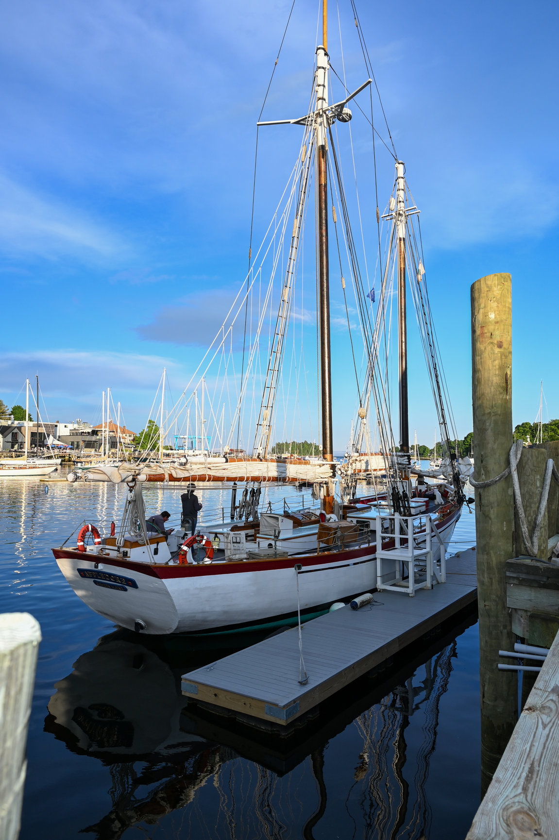 Melissa and Mathew's Camden Harbor Proposal - Catherine Hellman Photography
