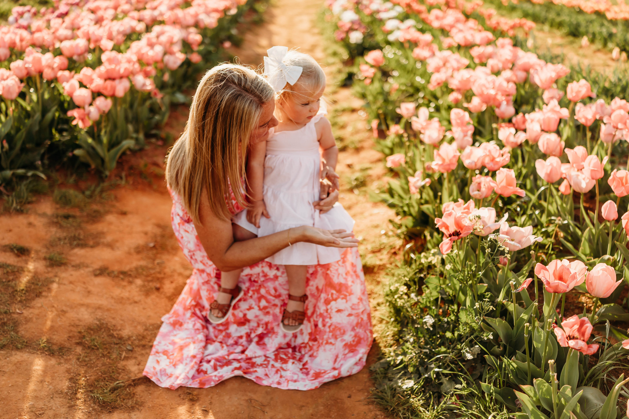 Home - Amy Estes Terrell