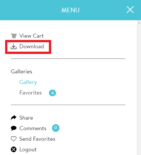 How To Do Bulk Downloads from a Client Galleries Event - PhotoBiz ...