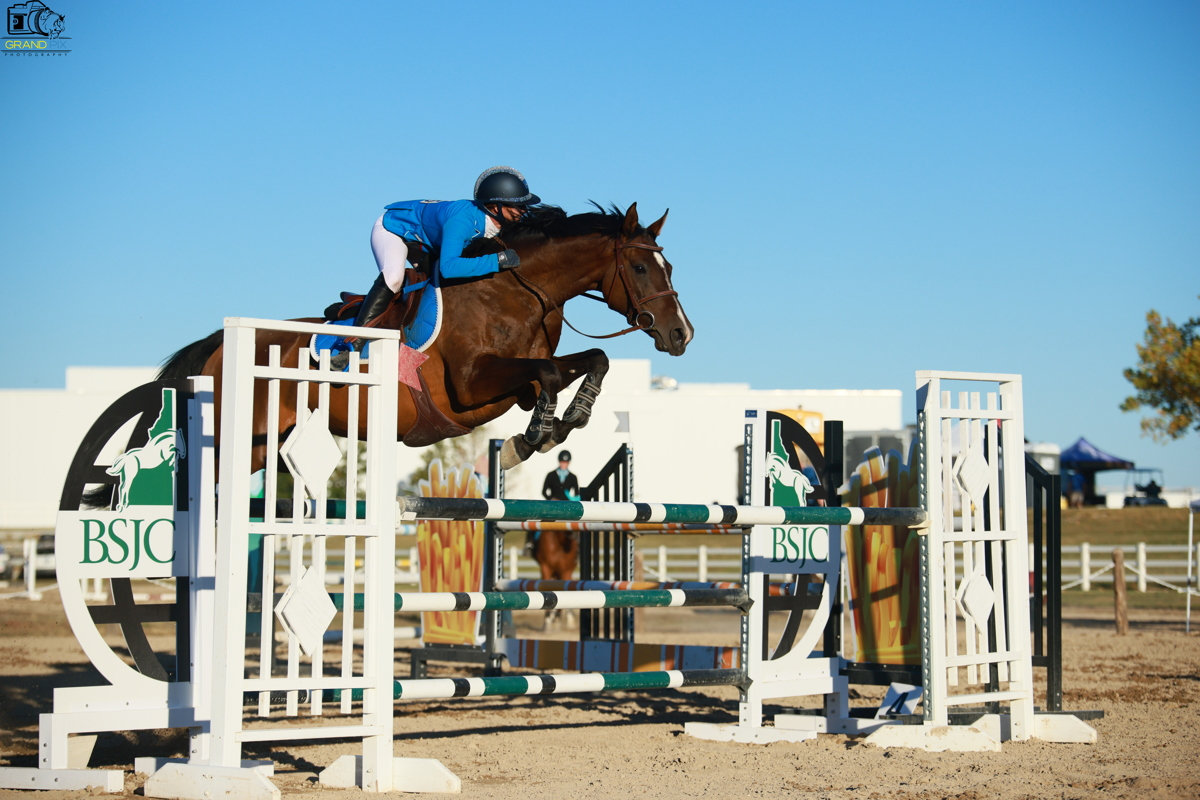 CLINIC SERIES - Boise Saddle and Jump Club