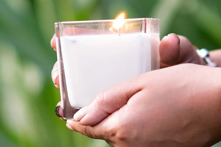 Current Shop Artists - GreenHill