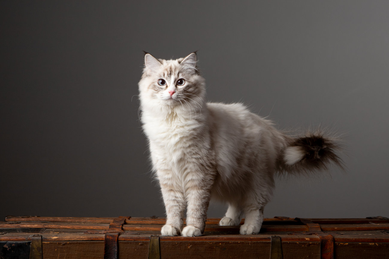 FAQ - Lori Marie Photography