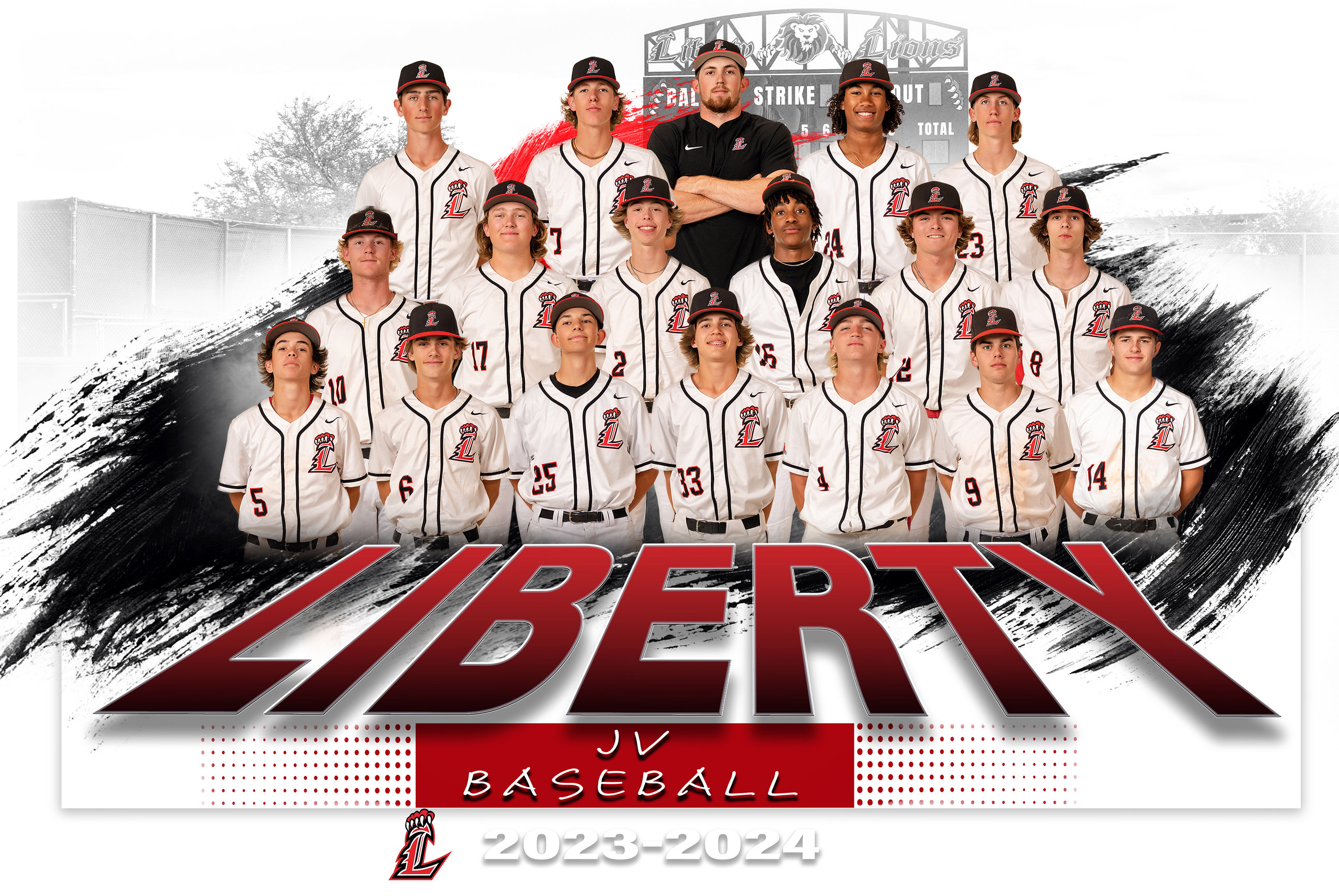 Sports & Action - Picture Lady Photography, LLC