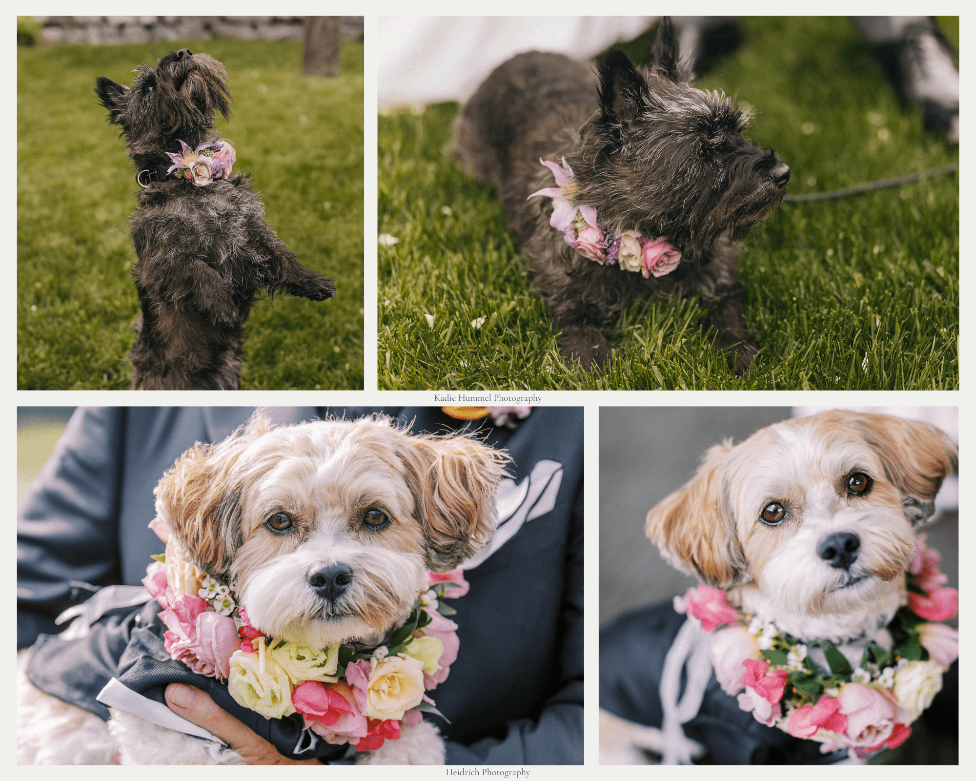 Printable Wedding Flowers Checklist