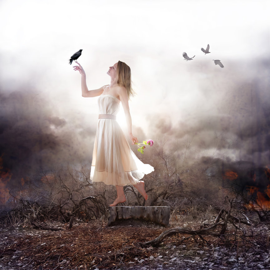 The Art of Rejection: Why It's Not The End - Park City Photographer ...